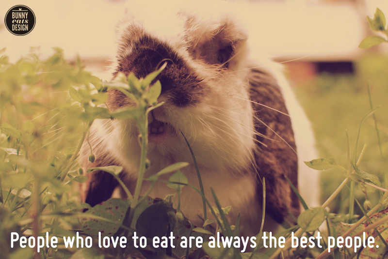 Tofu Tuesday: Wise words | Bunny Eats Design