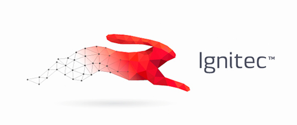 Monday Bunday: Ignitec branding | Bunny Eats Design